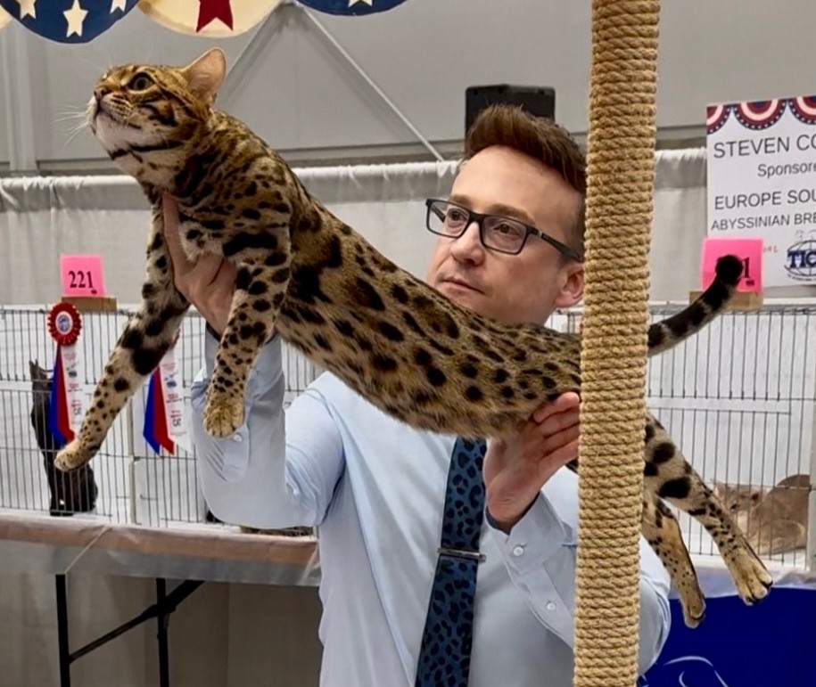 Best cat in the world: Marietta cattery has top cat so far | News ...